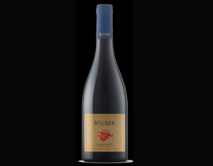 Goriška Brda – vinogradniška dediščina družine Ščurek